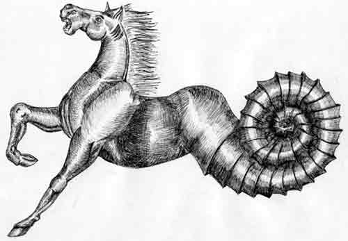 IPPOCAMPO ANIMALE MARINO DELLA MITOLOGIA GRECA